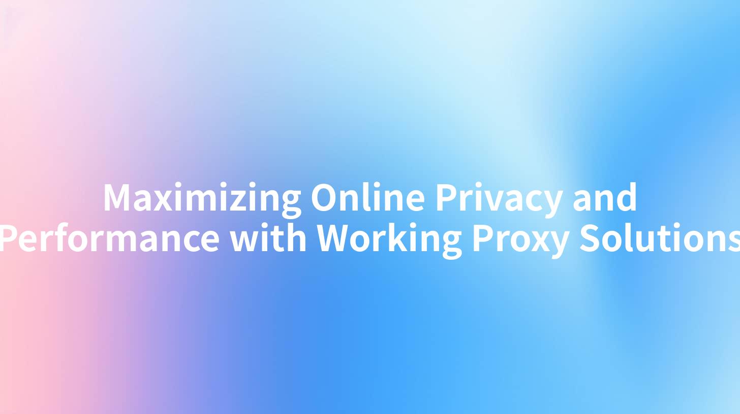 Maximizing Online Privacy and Performance with Working Proxy Solutions